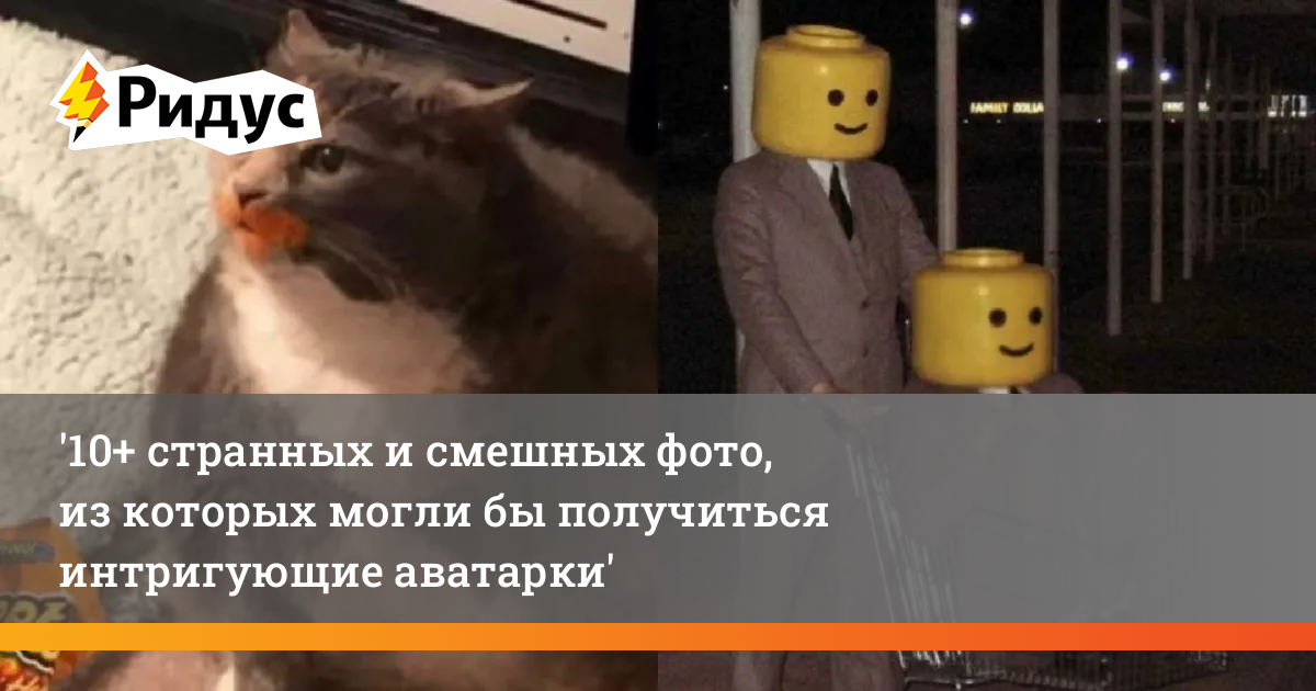 10+ странных и смешных фото, из которых могли бы получиться интригующие ...